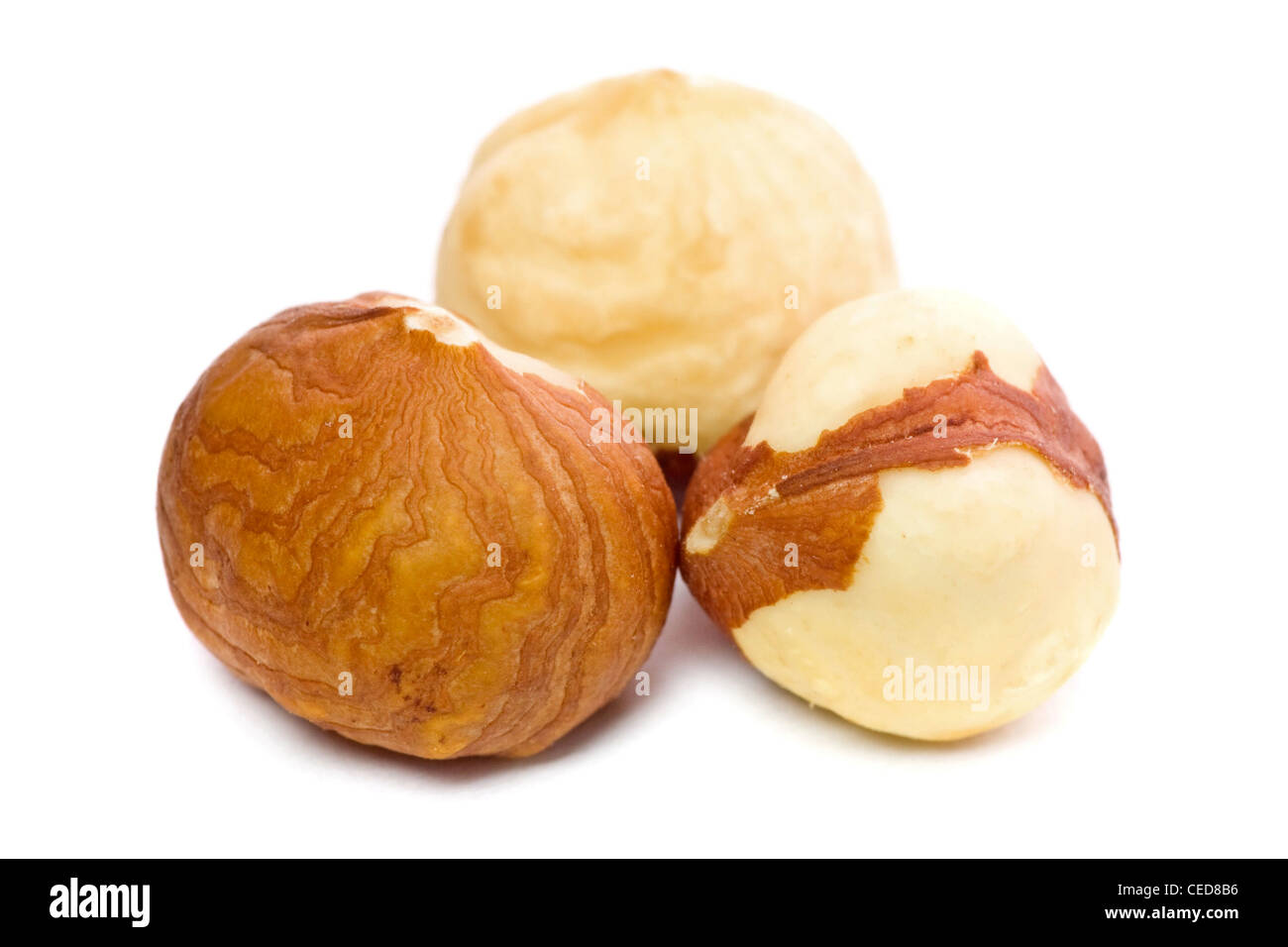 Closeup of hazel nuts kernels isolated on white background Stock Photo ...