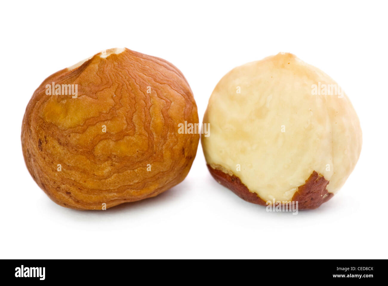Closeup of two hazel nuts kernels isolated on white background Stock ...