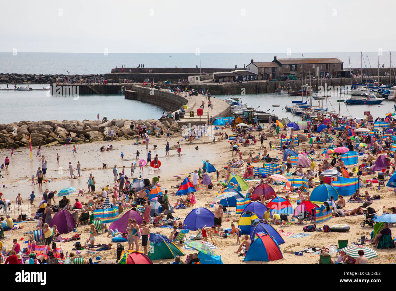 The Cobb Gate Fish Bar and The Rock Point Inn at Lyme Regis, Dorset ...