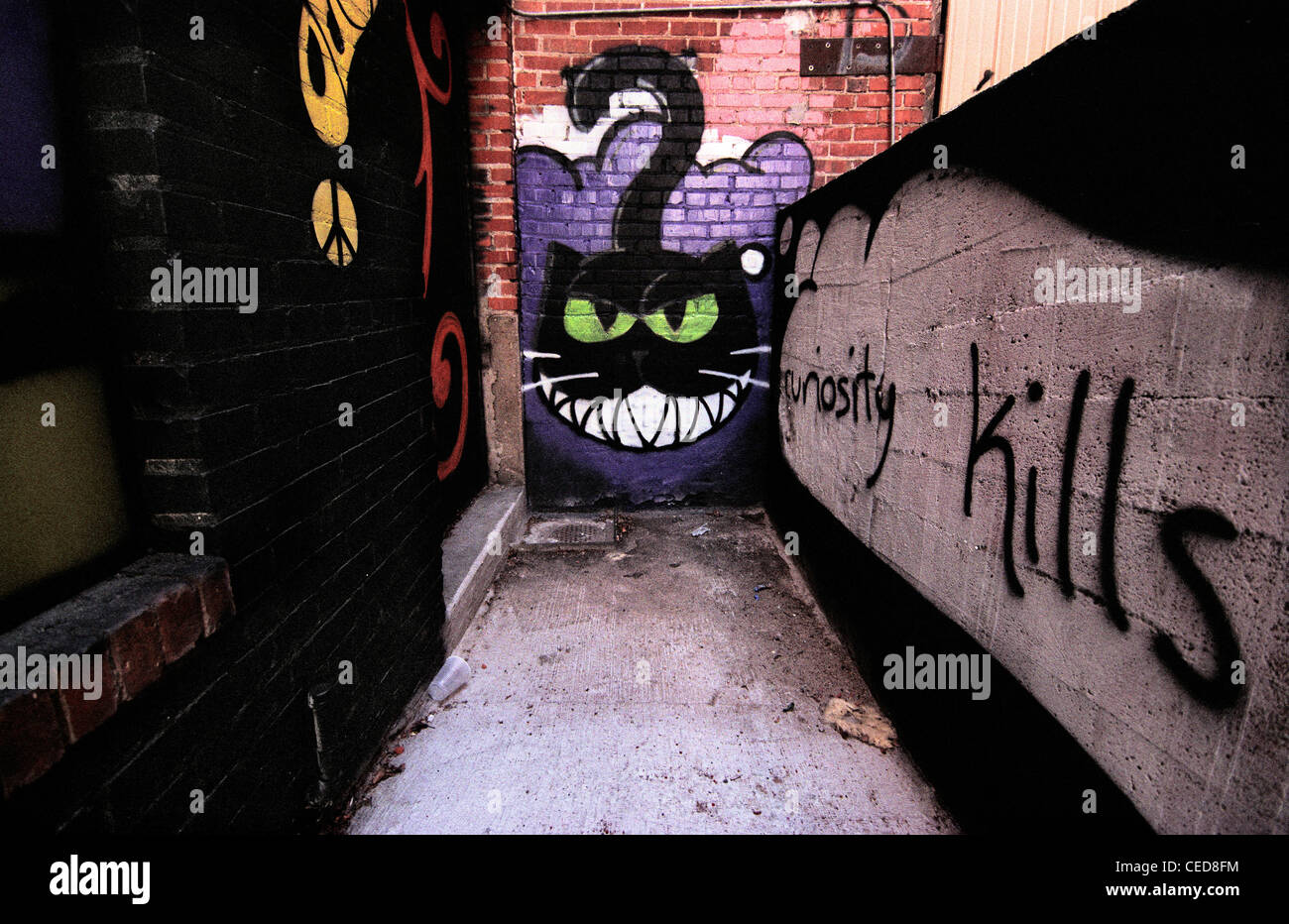 Graffiti cat hi-res stock photography and images - Alamy