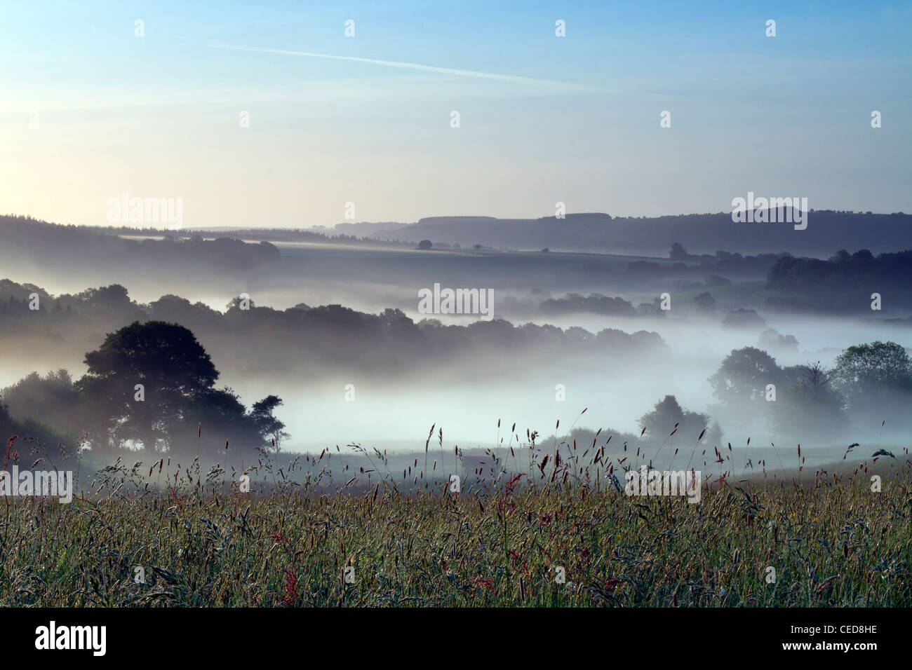 Donhead hi-res stock photography and images - Alamy