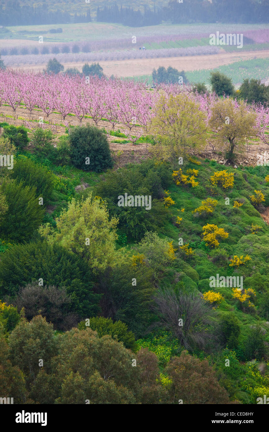 Upper galilee israel lebanon hi-res stock photography and images - Alamy
