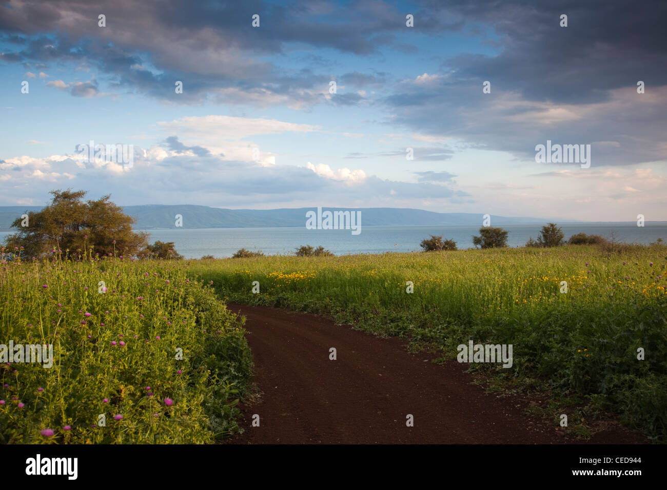 Tiberias Sea Of Galilee Lake Tiberias High Resolution Stock Photography ...