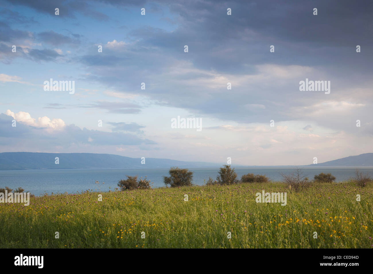 Israel, The Galilee, Tiberias, Sea of Galilee-Lake Tiberias, late ...