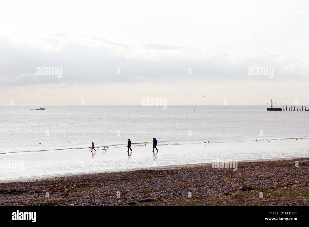 Littlehampton beach people hi-res stock photography and images - Alamy