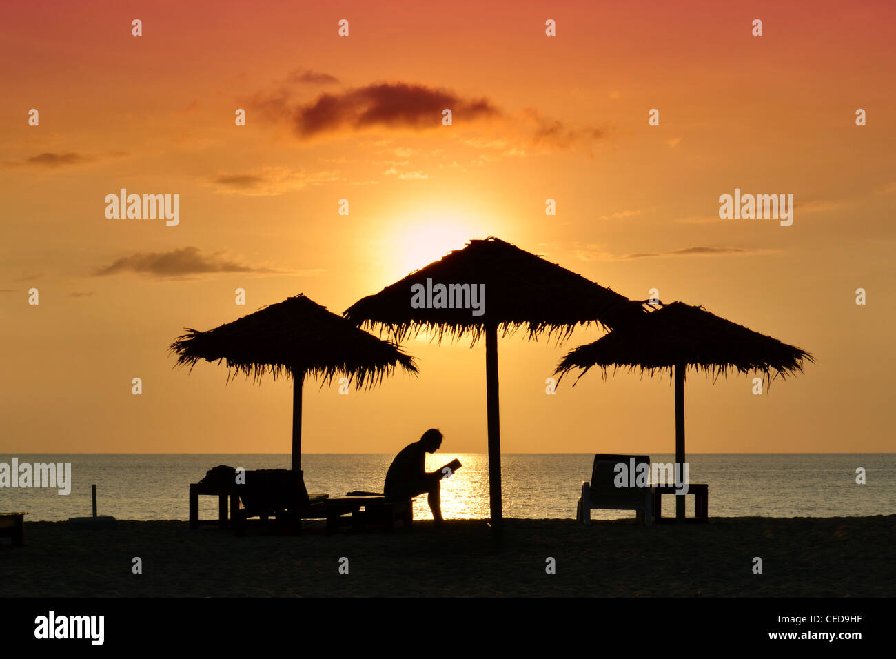 Person reading a book on the beach at sunset, silhouette, Kib Hotel ...