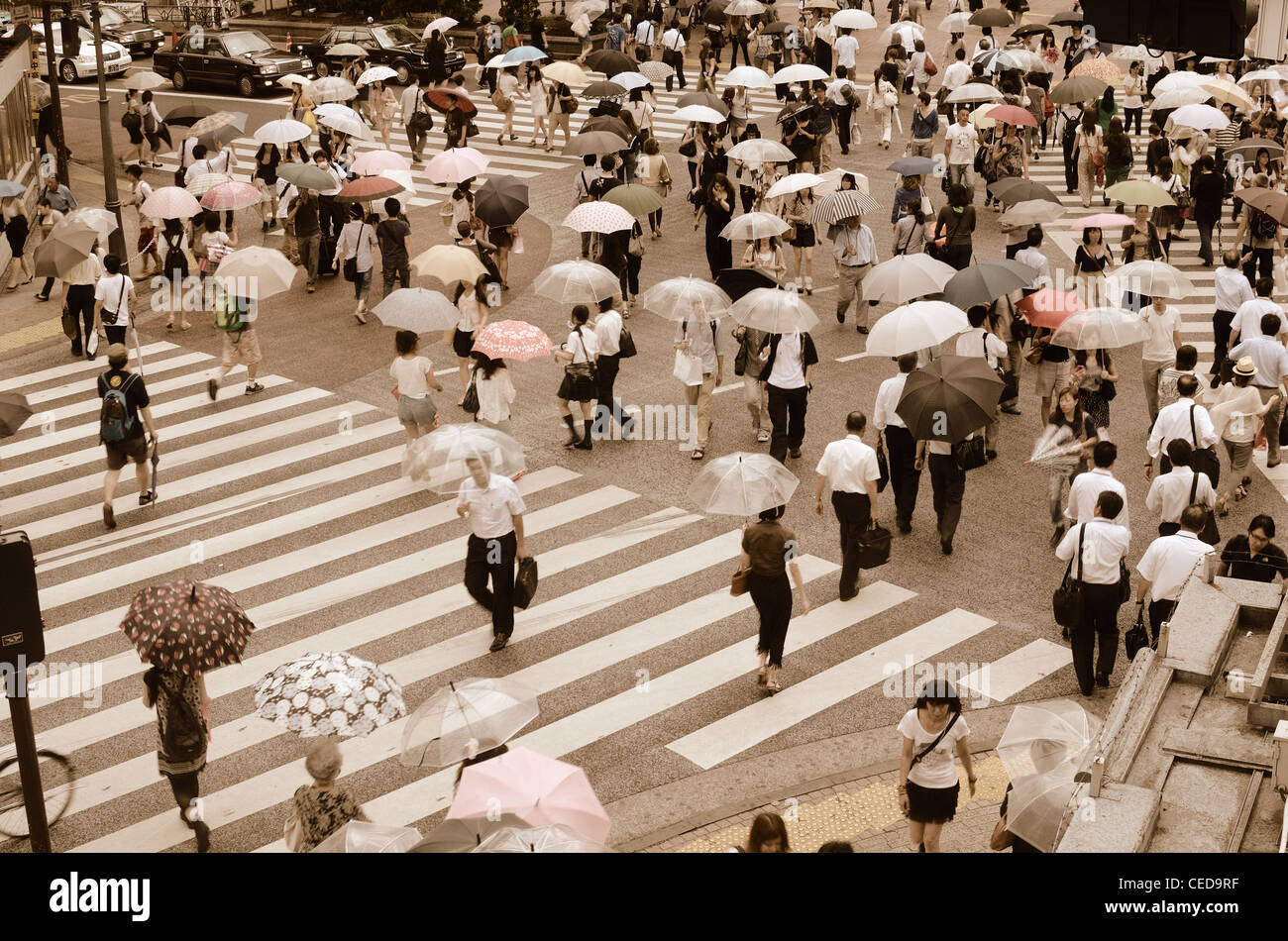 Aerial view crossing famous shibuya hi-res stock photography and images ...