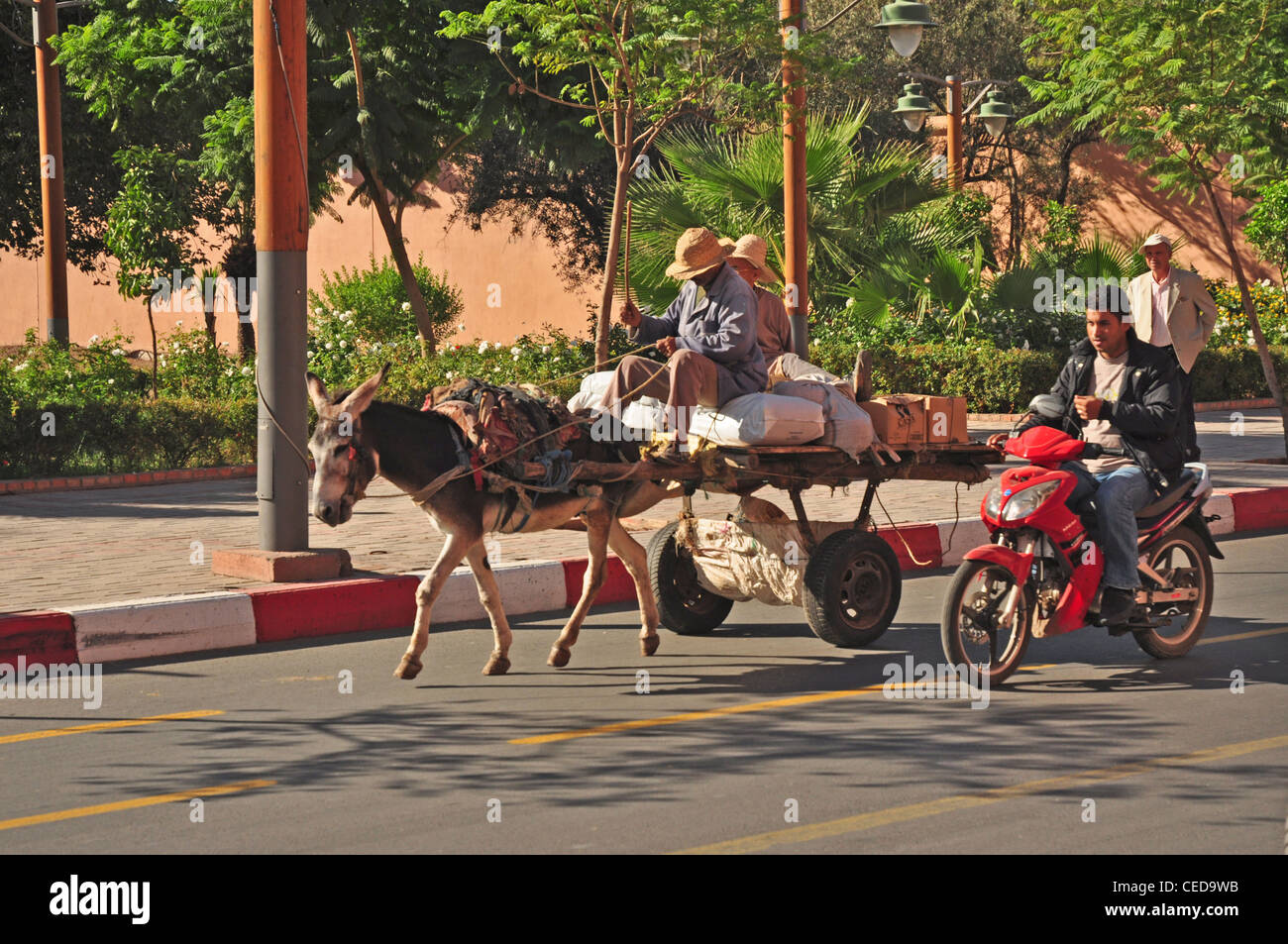 Donkey carrying tourist hi-res stock photography and images - Alamy