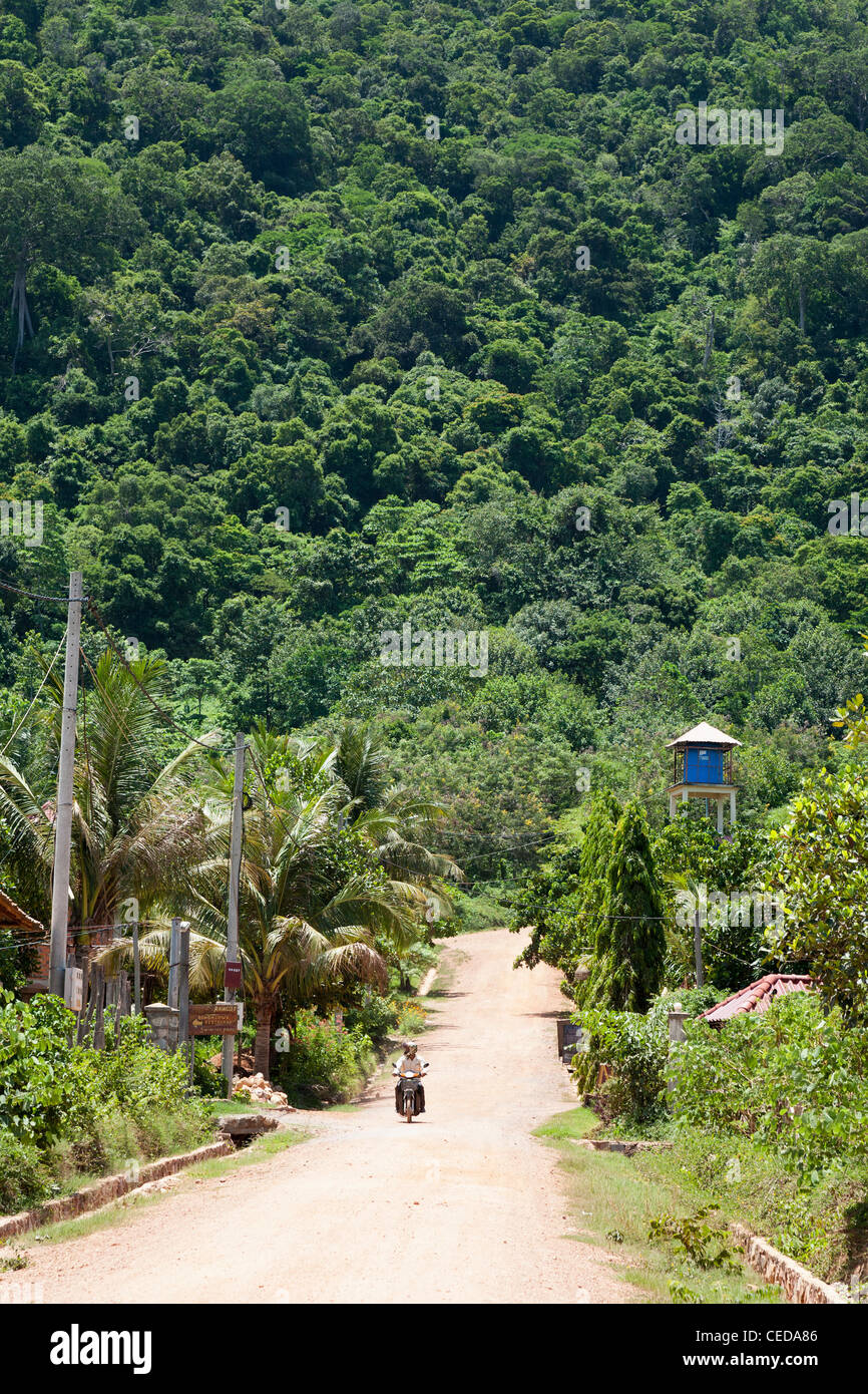 Cambodian violin hi-res stock photography and images - Alamy