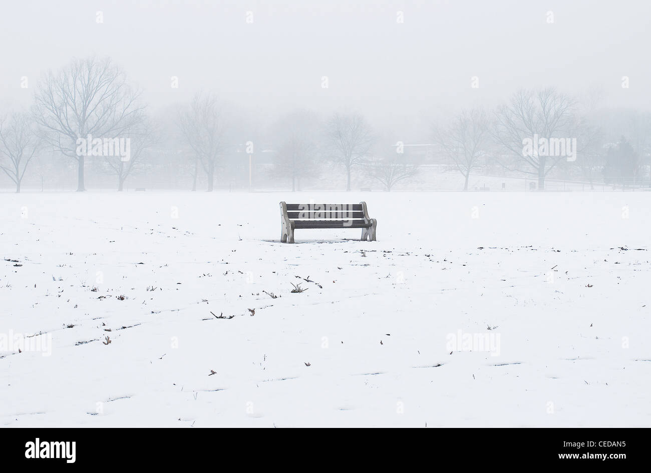 Tree bench snow hi-res stock photography and images - Alamy