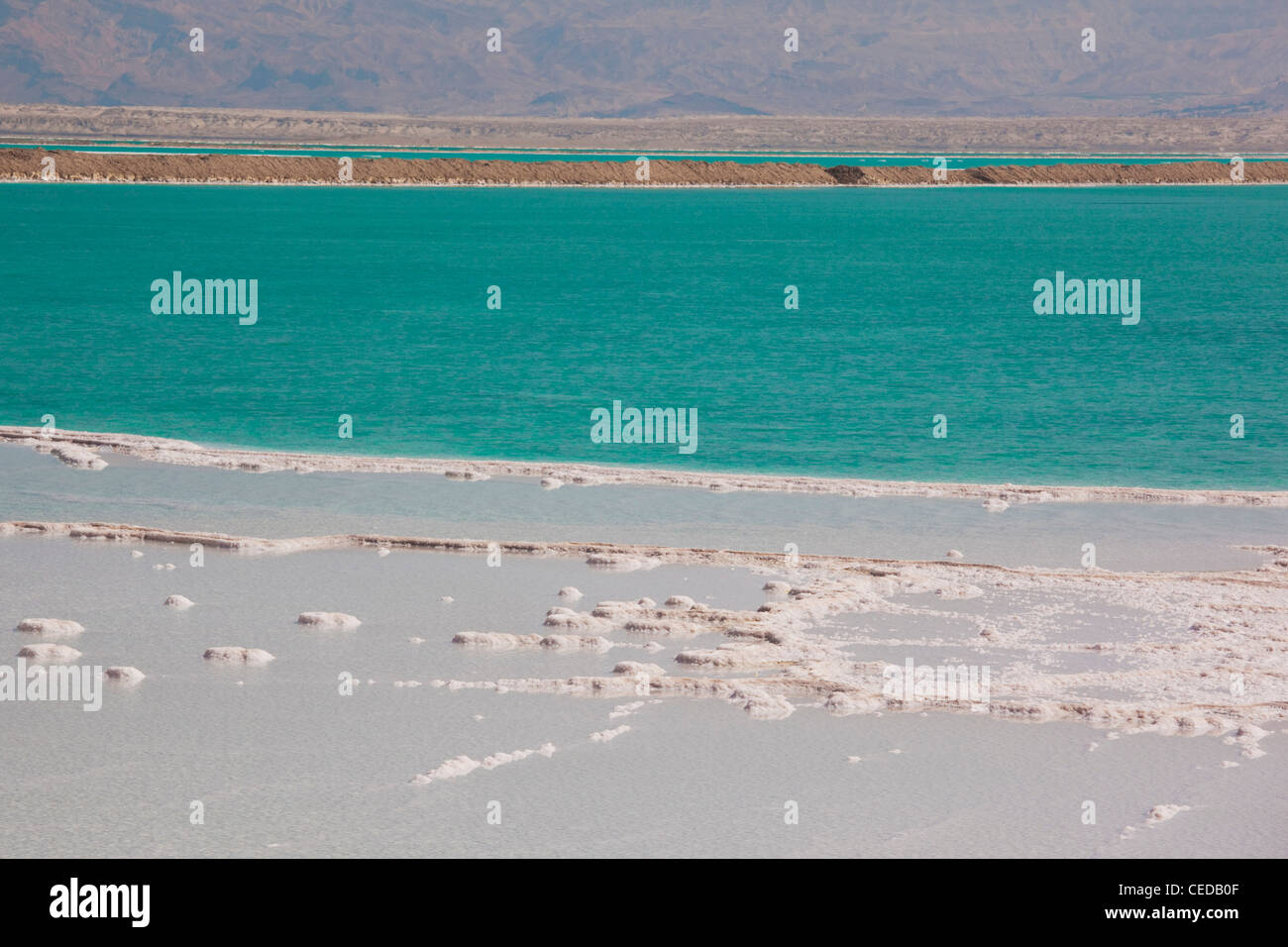 Israel, Dead Sea, Ein Bokek, salt deposits by the Dead Sea Stock Photo - Alamy