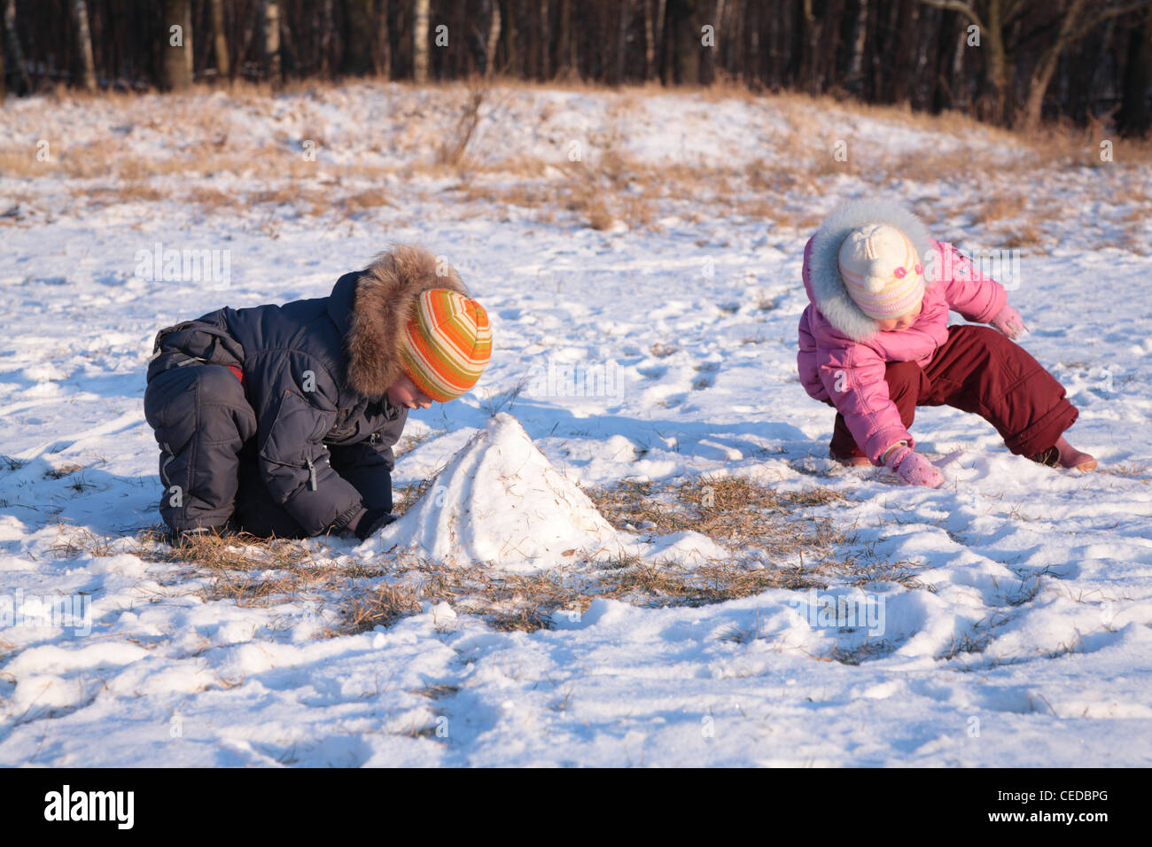 Children play in wood in winter Stock Photo - Alamy