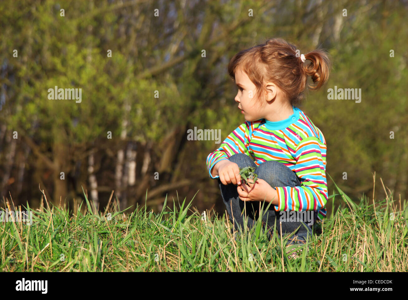 little girl with grass in hands sits on fringe of forest Stock Photo ...