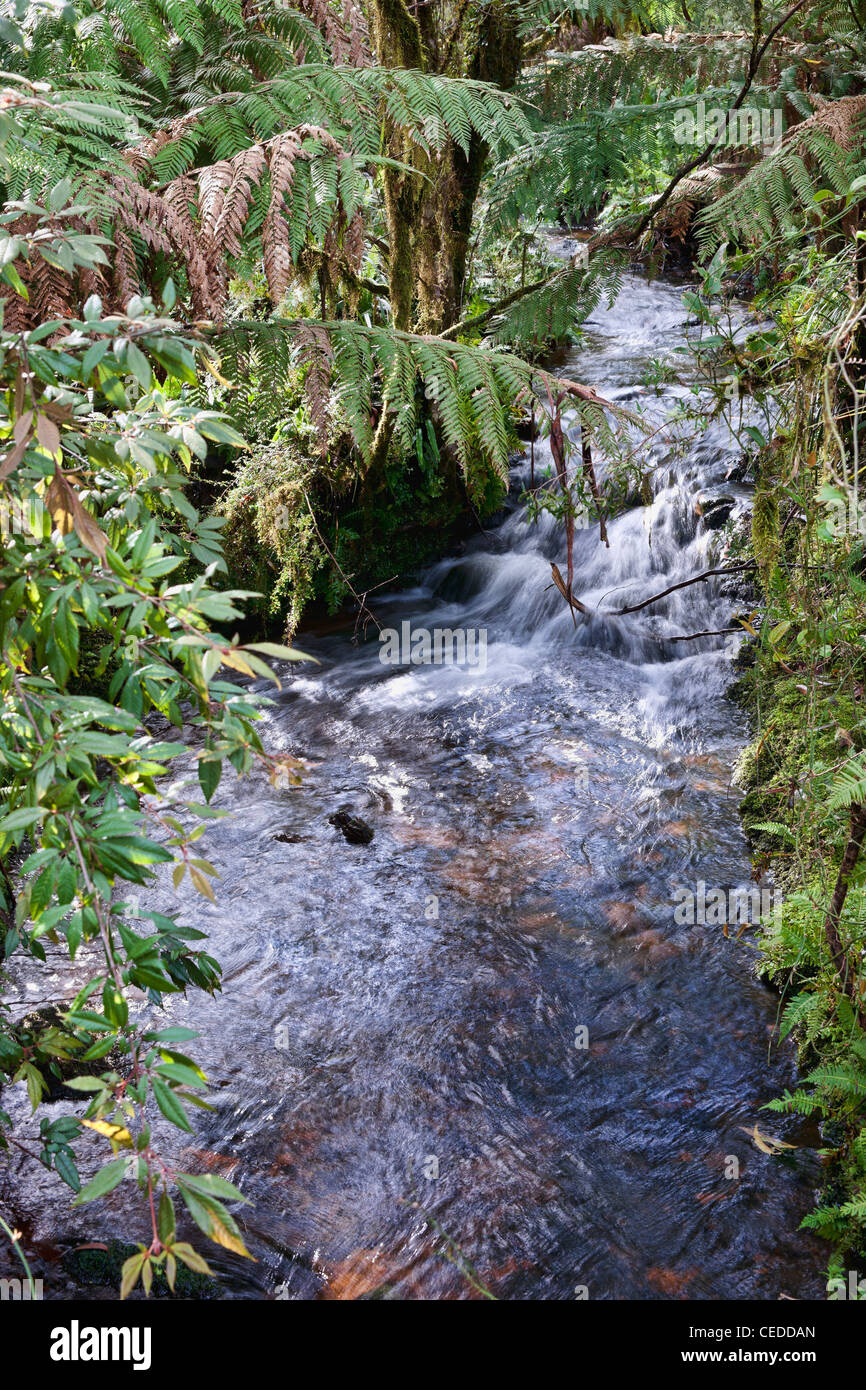 Little stream hi-res stock photography and images - Alamy
