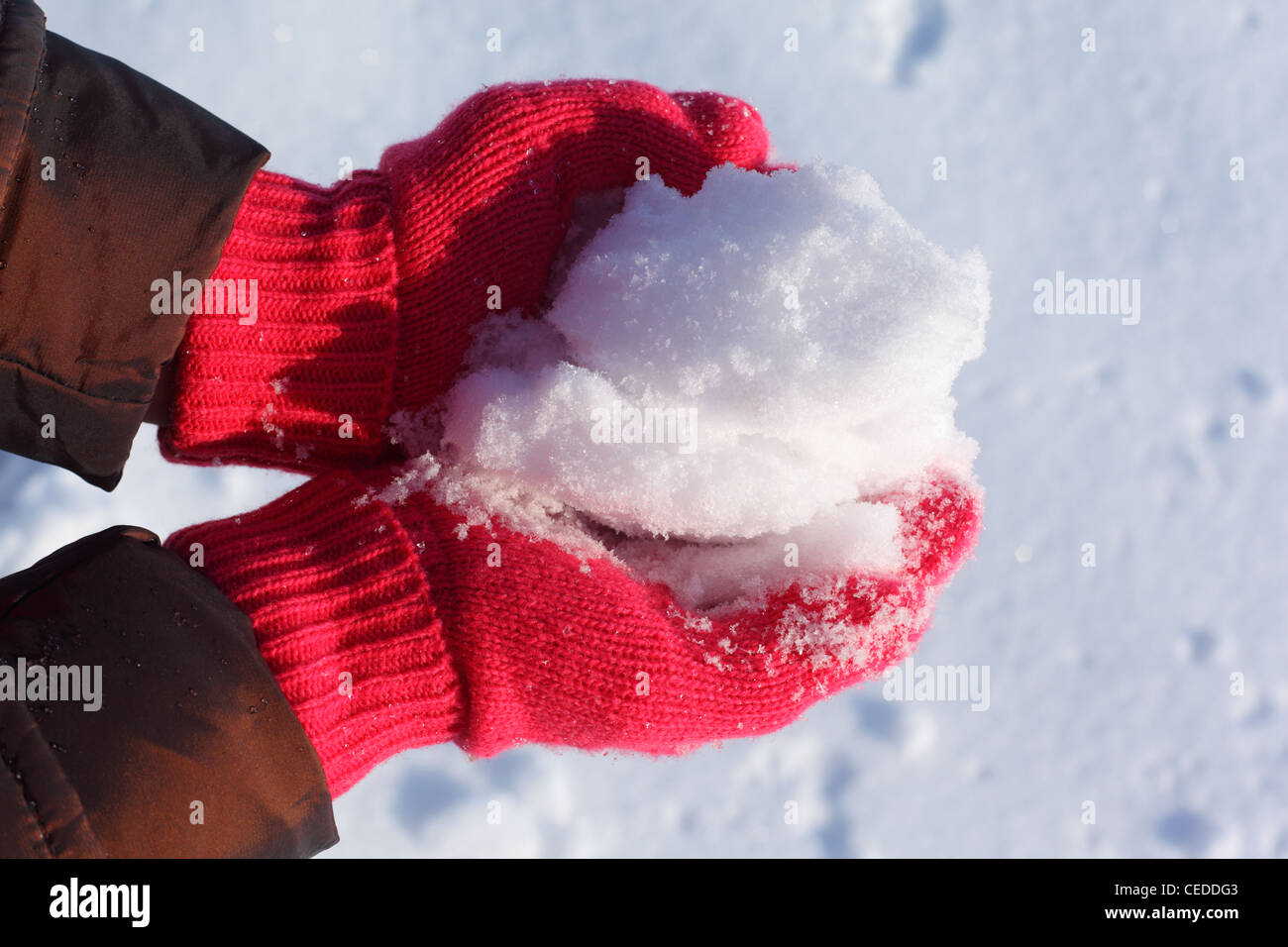 Hands with snow Stock Photo - Alamy