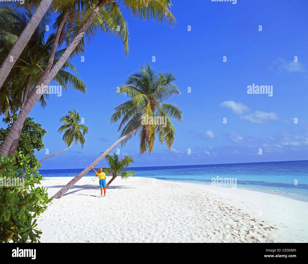 Young woman standing beneath palm tree, Kuda Bandos, Kaafu Atoll ...