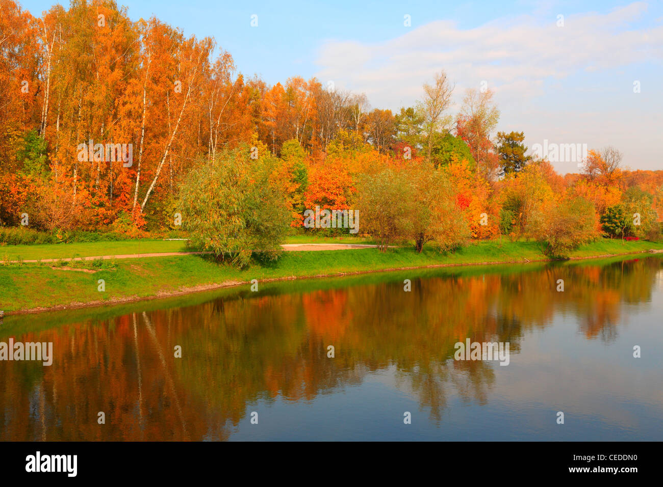 autumn in city park Stock Photo - Alamy