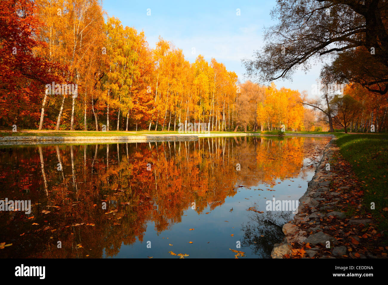 autumn in city park Stock Photo - Alamy