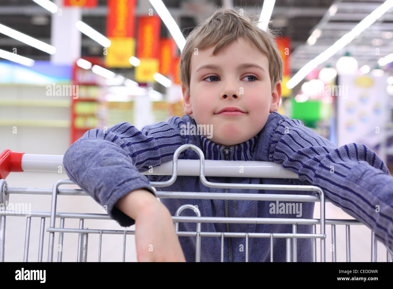 boy in shop with cart Stock Photo - Alamy