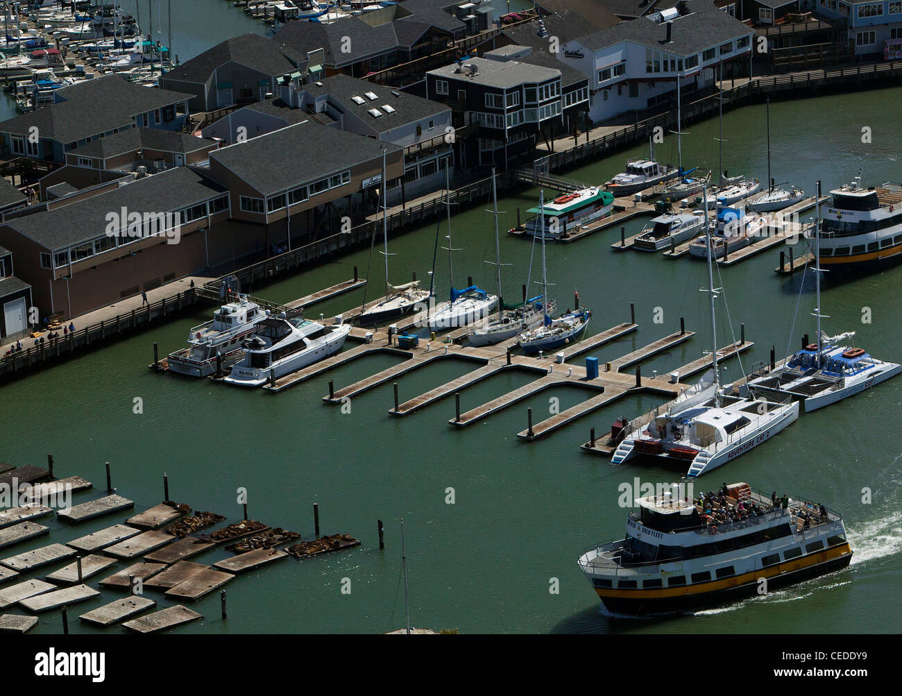 aerial photograph Alcatraz ferry leaving Fisherman's Wharf San ...