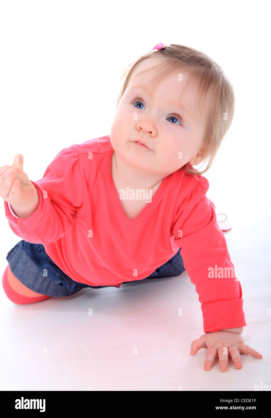 6 Month Old Baby Crawling Stock Photo Alamy