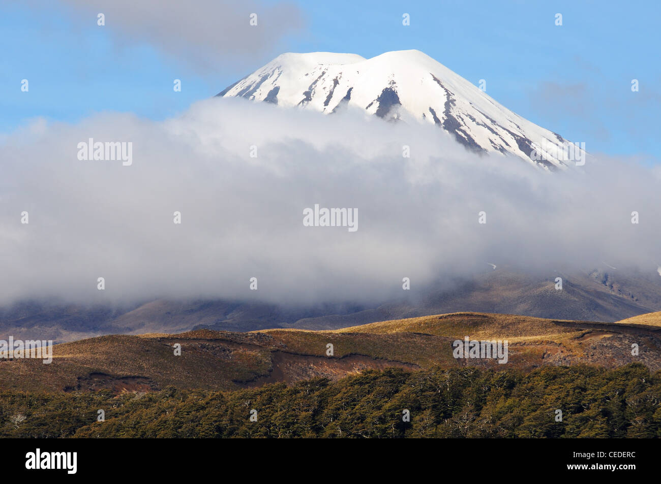 Ngauruhoe volcano in Tongariro National Park, New Zealand Stock Photo ...