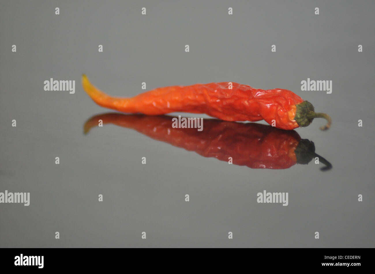 Red chillie, red chili, shadow Stock Photo - Alamy