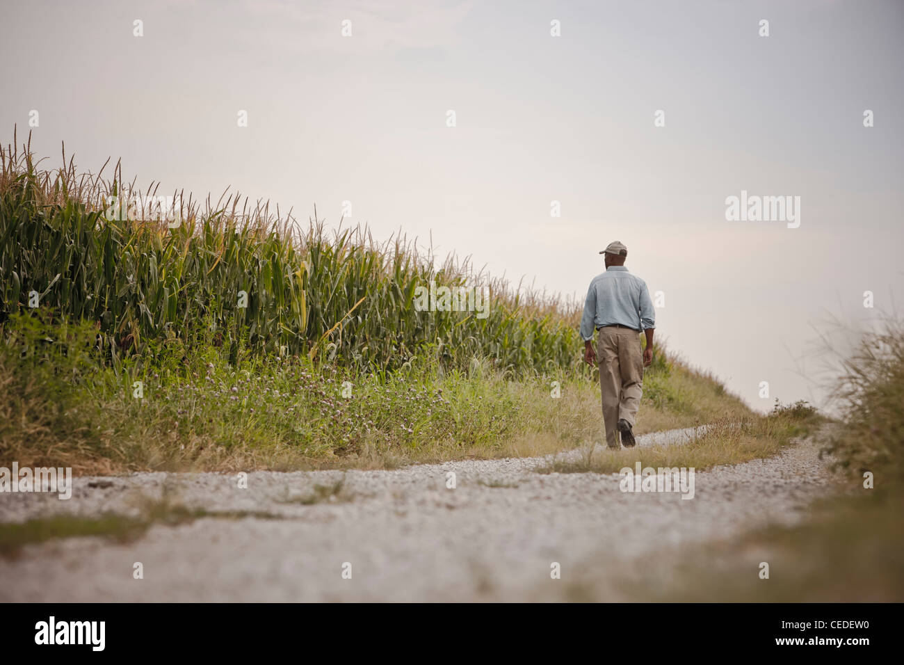African American man walking on remote path Stock Photo - Alamy