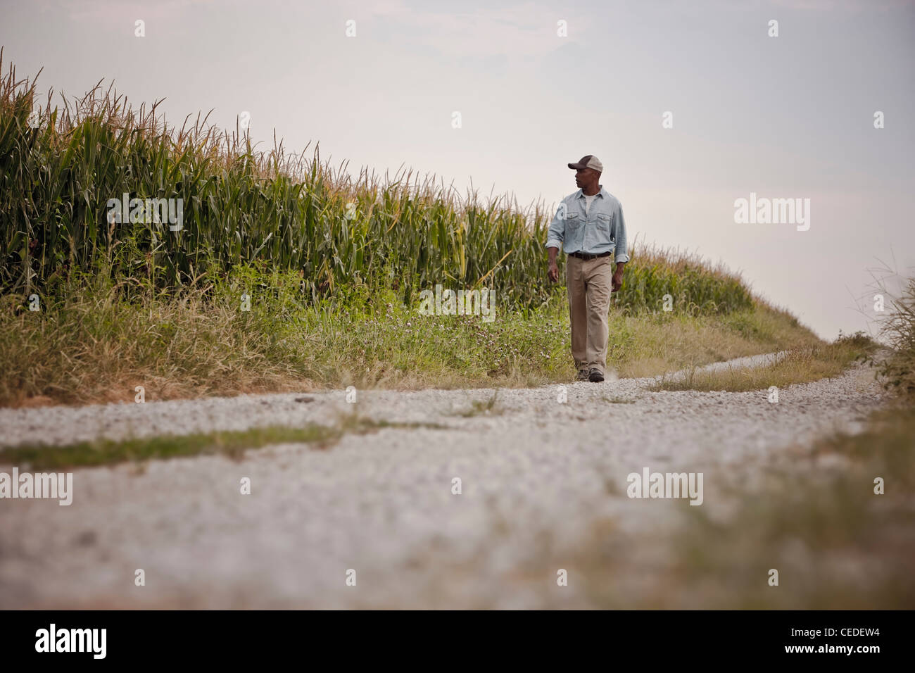 African American man walking on remote path Stock Photo - Alamy