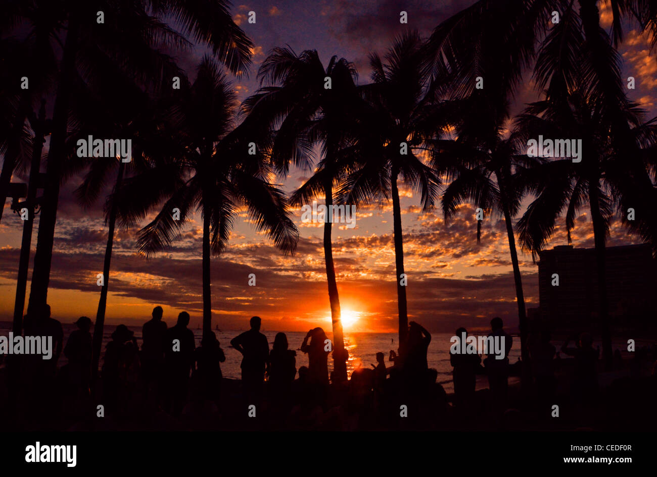 Sunset sunset clouds trees scenic islands in the tropics hi-res stock ...