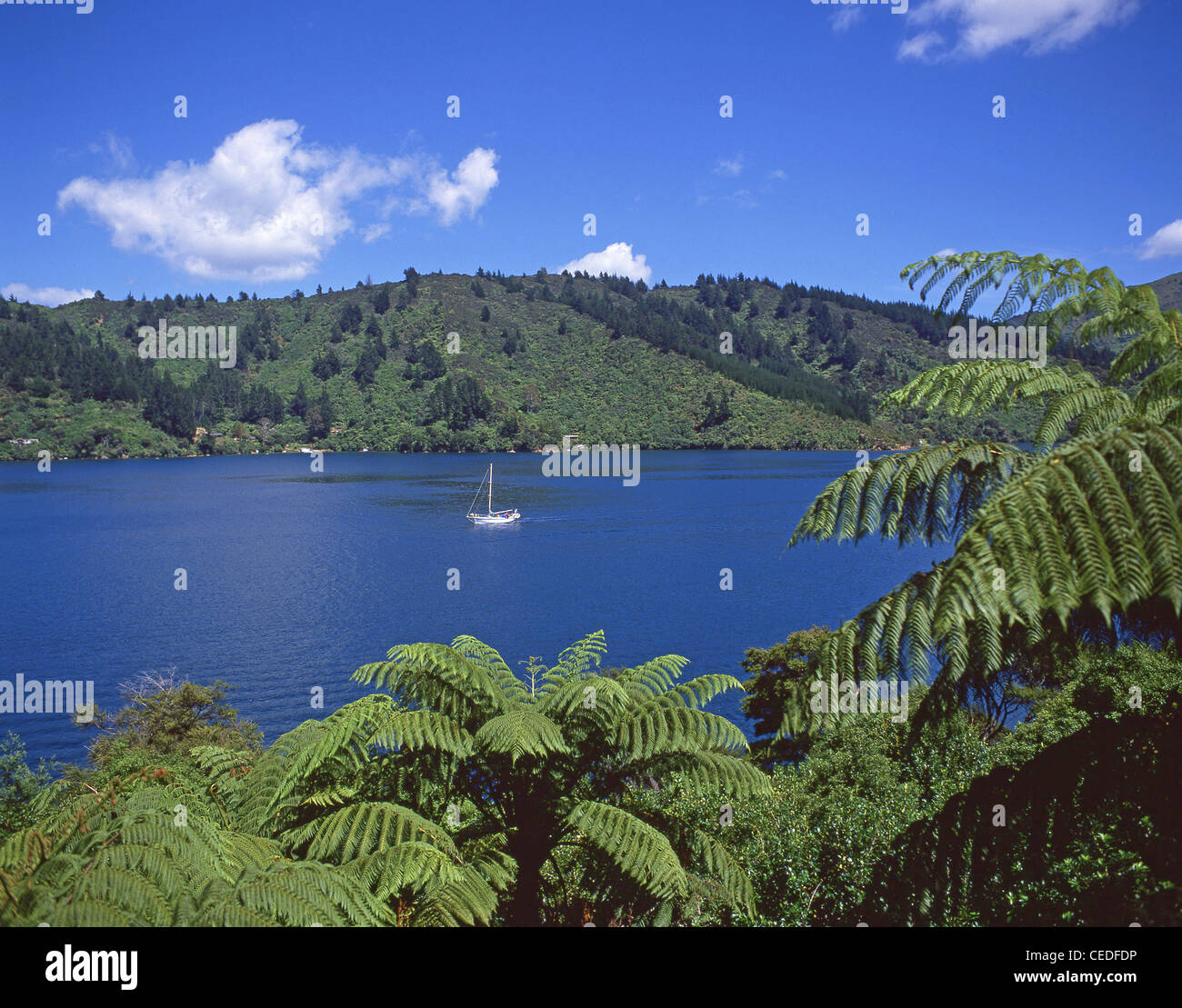 Lochmara Bay, Queen Charlotte Sound, Marlborough Sounds, Marlborough ...