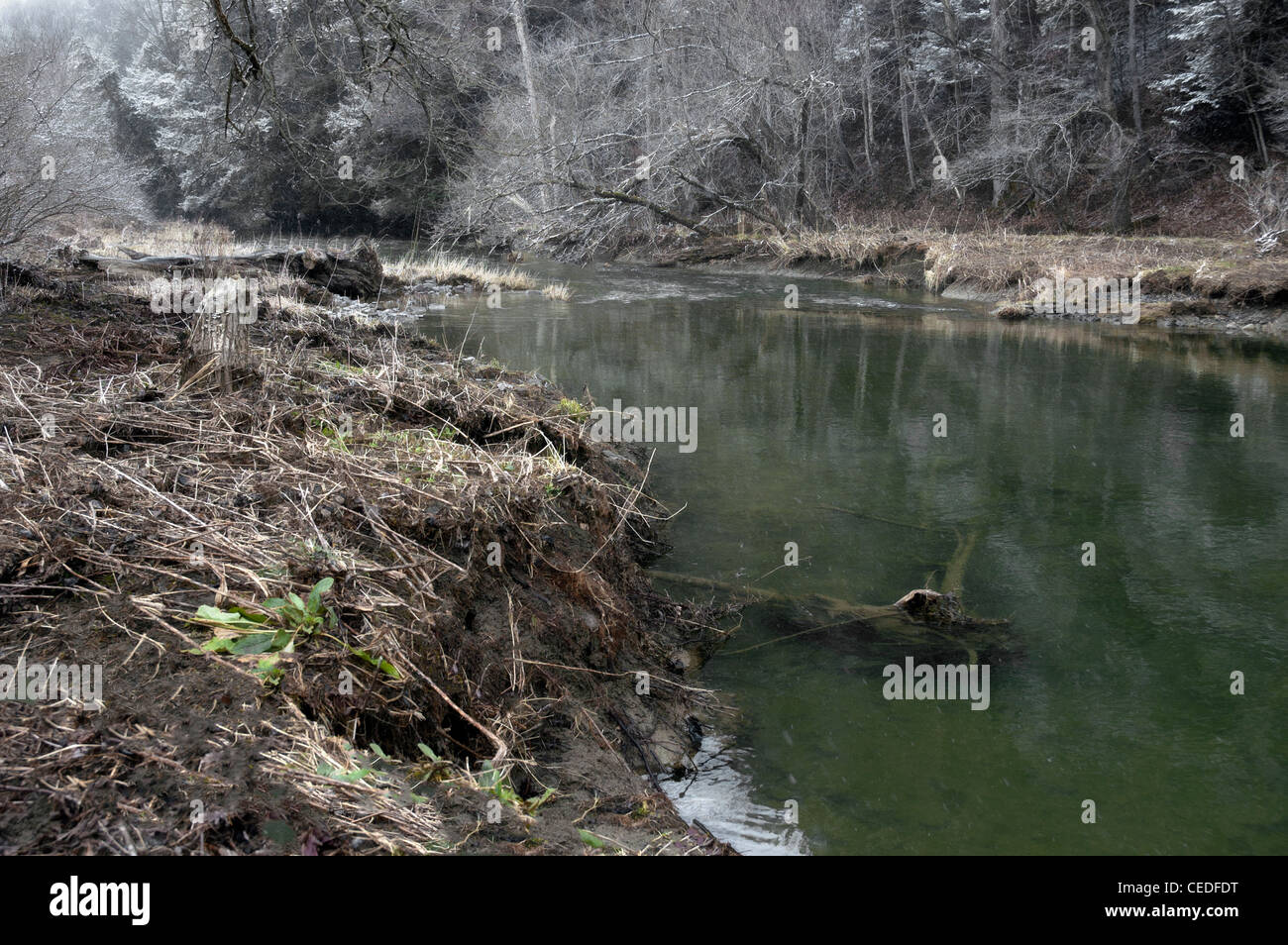 river view river landscape riverbank low camera angle Stock Photo - Alamy