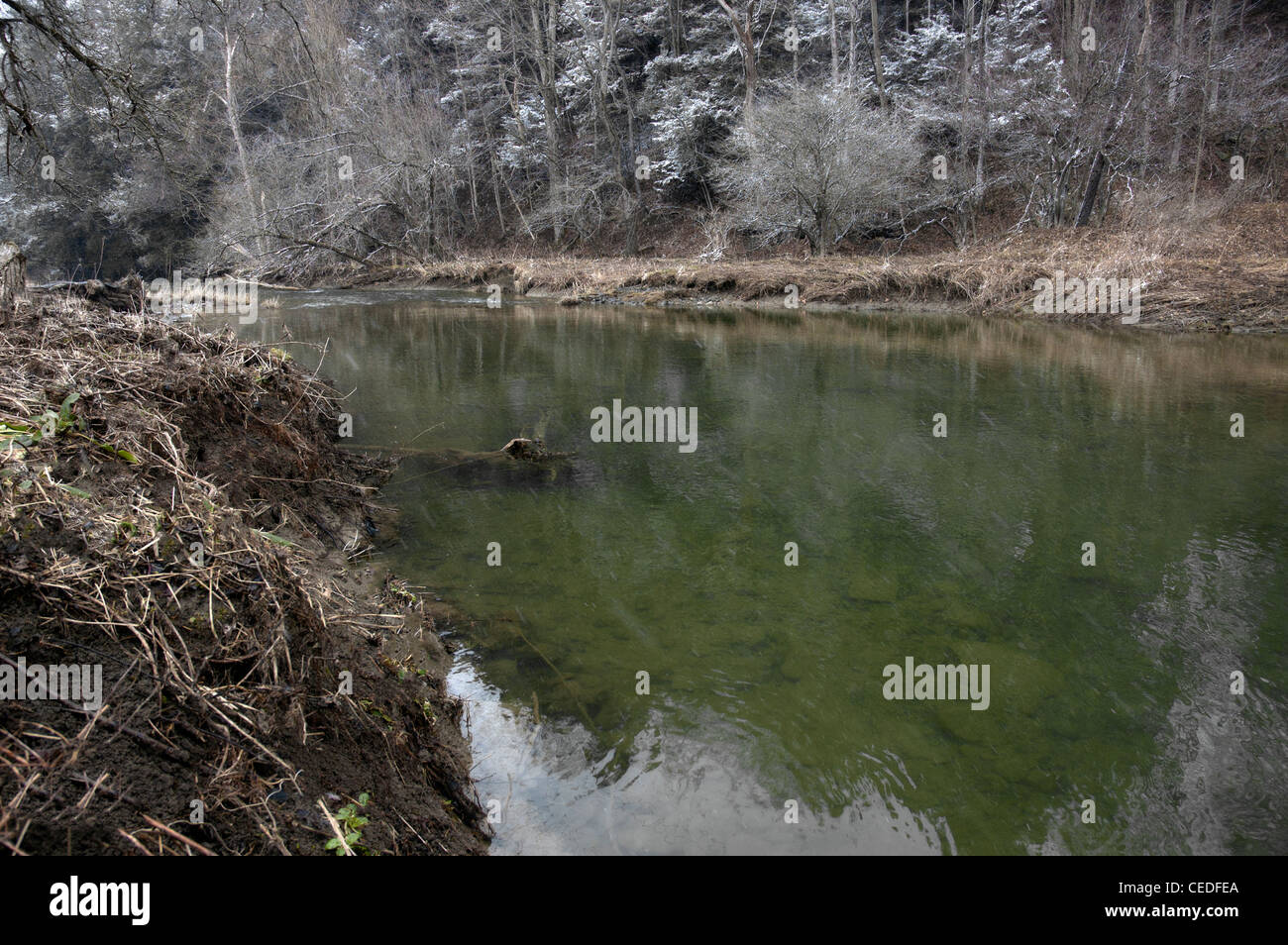 river view river landscape riverbank low camera angle Stock Photo - Alamy