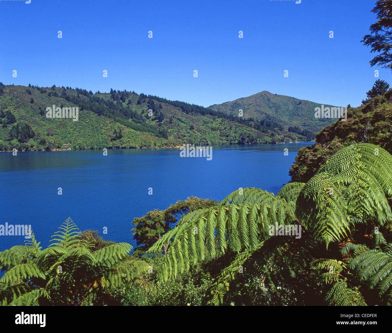 Lochmara Bay, Queen Charlotte Sound, Marlborough Sounds, Marlborough ...