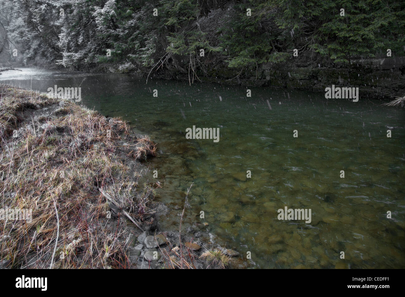 river view river landscape riverbank low camera angle Stock Photo - Alamy
