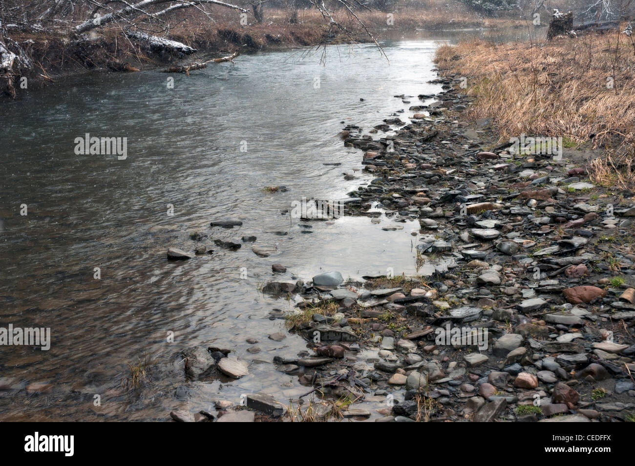 river view river landscape riverbank low camera angle Stock Photo - Alamy