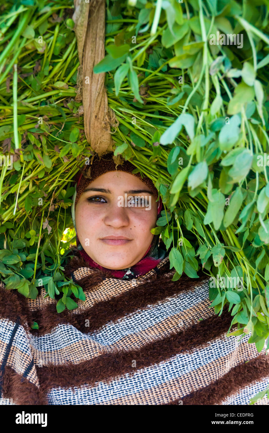 Arab agriculture hi-res stock photography and images - Alamy