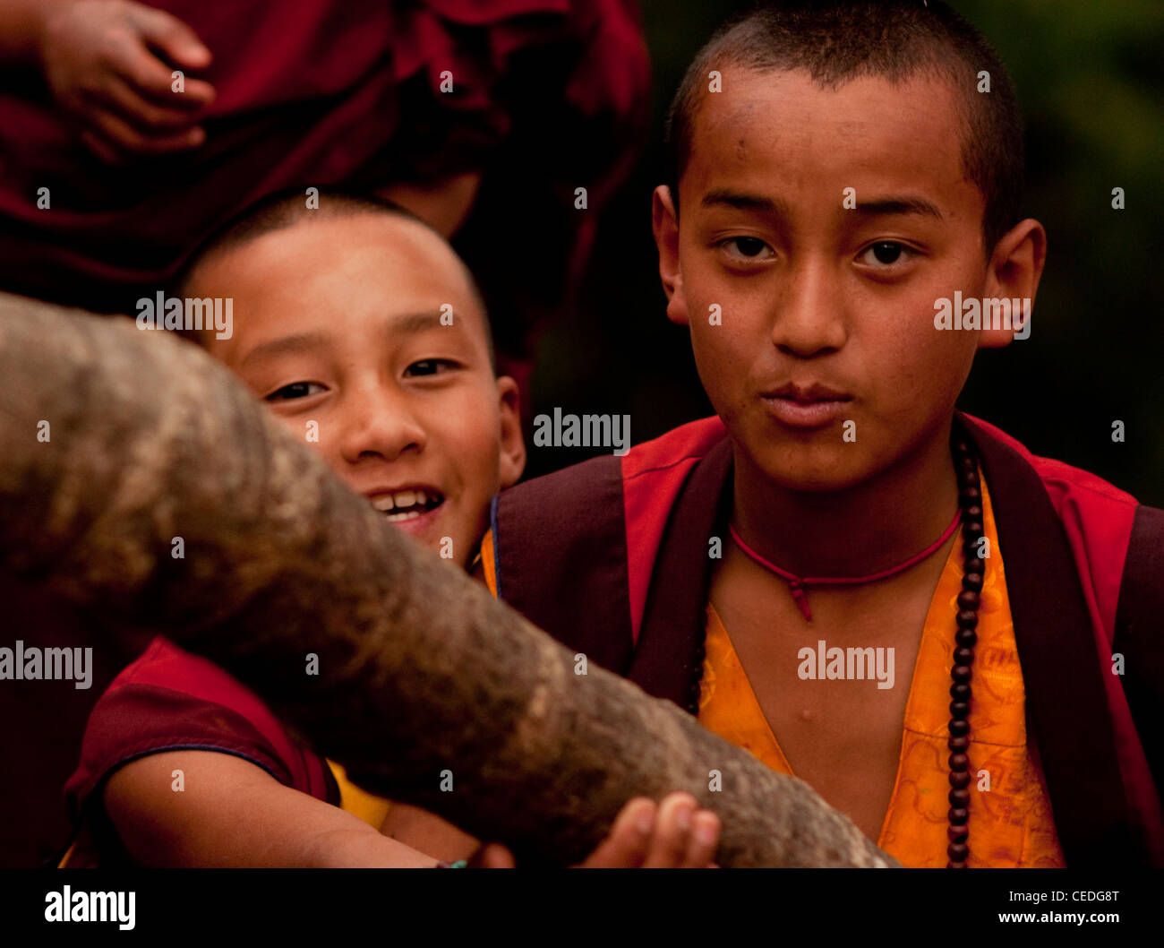 Portrait of a student Buddhist Monk, Sikkim, India Stock Photo - Alamy