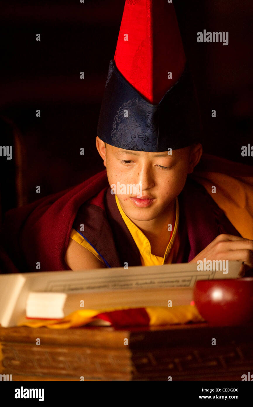 Buddhist student monks chanting from scrolls in a monastery in Sikkim ...