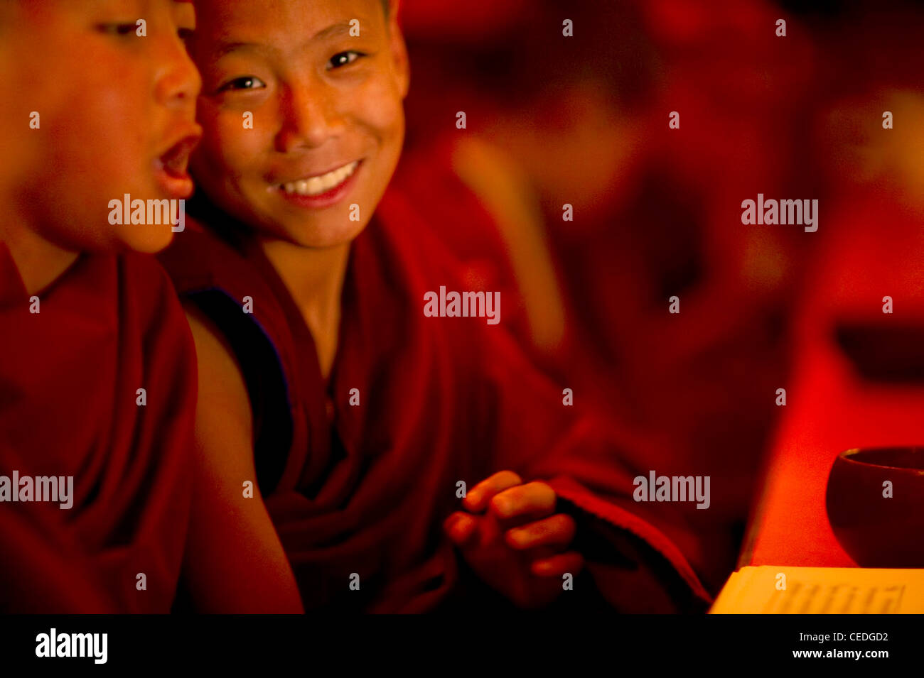 Buddhist student monk in a monastery, Sikkim, India Stock Photo - Alamy