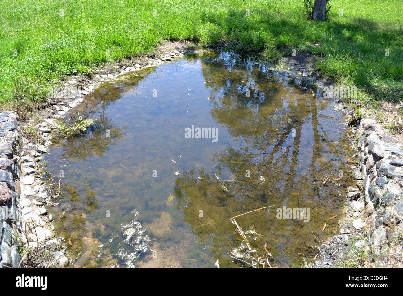 Stagnant rain water hi-res stock photography and images - Alamy