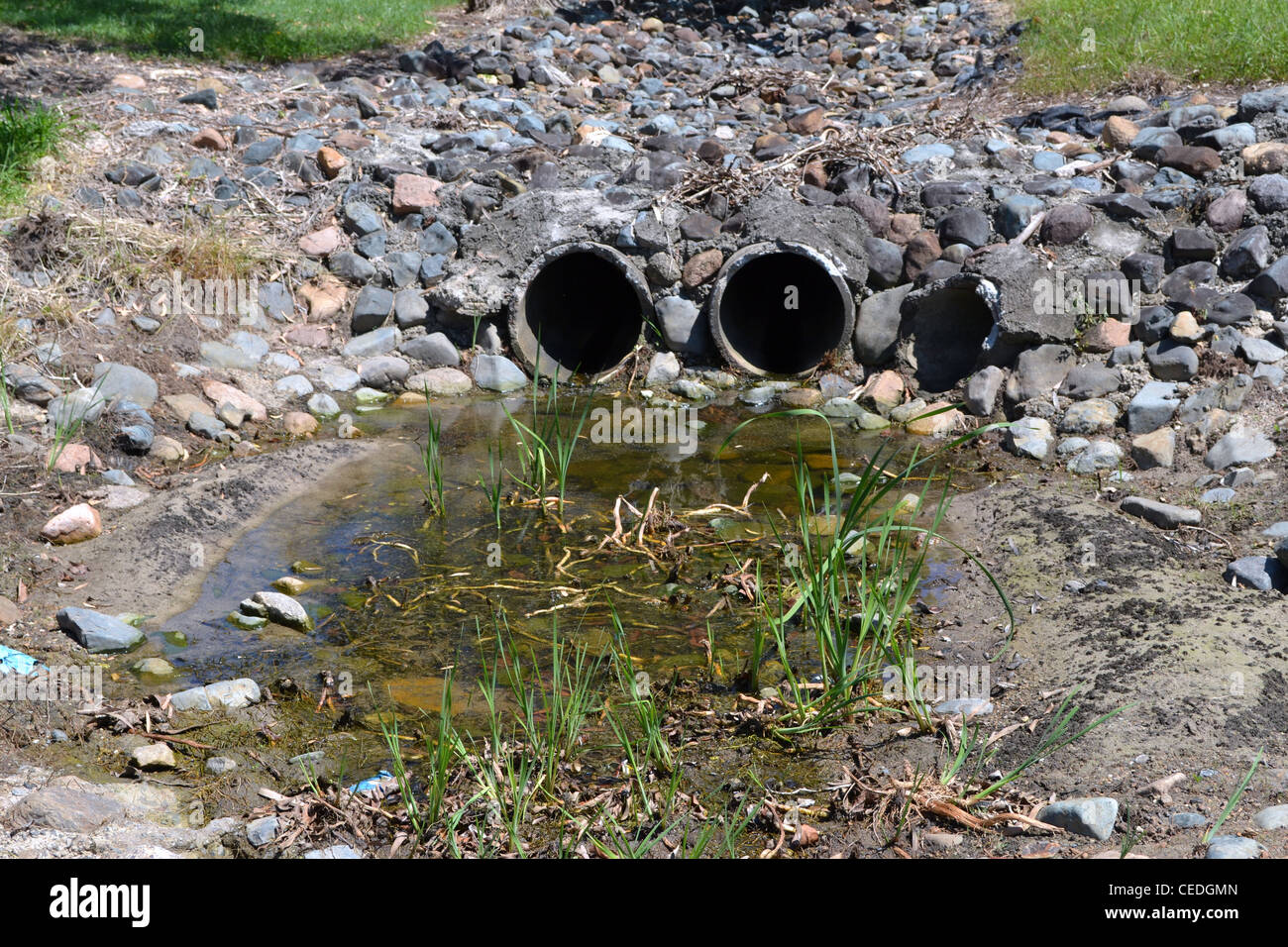 Stagnant Water Stock Photos & Stagnant Water Stock Images - Alamy