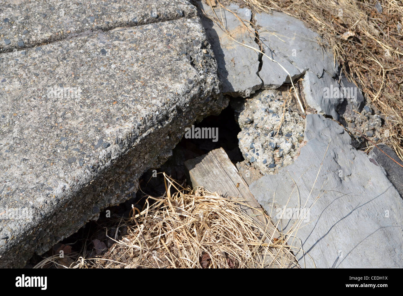 damaged cement path Stock Photo - Alamy