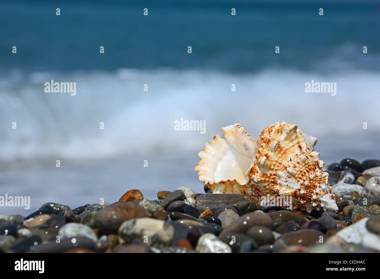 Seacoast hi-res stock photography and images - Alamy