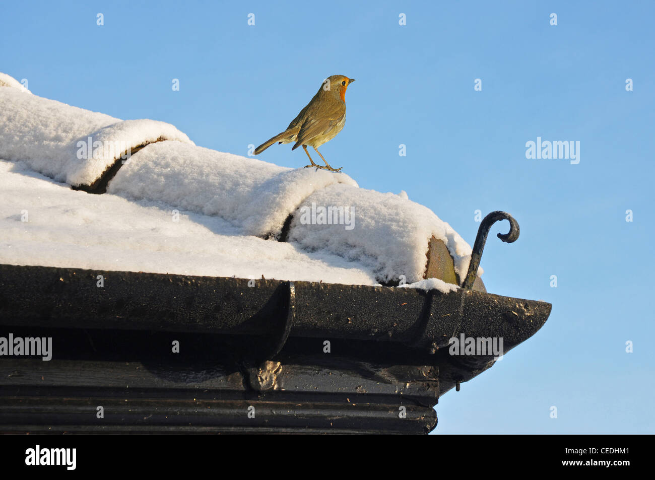 Cheshire landscape painting hi-res stock photography and images - Alamy