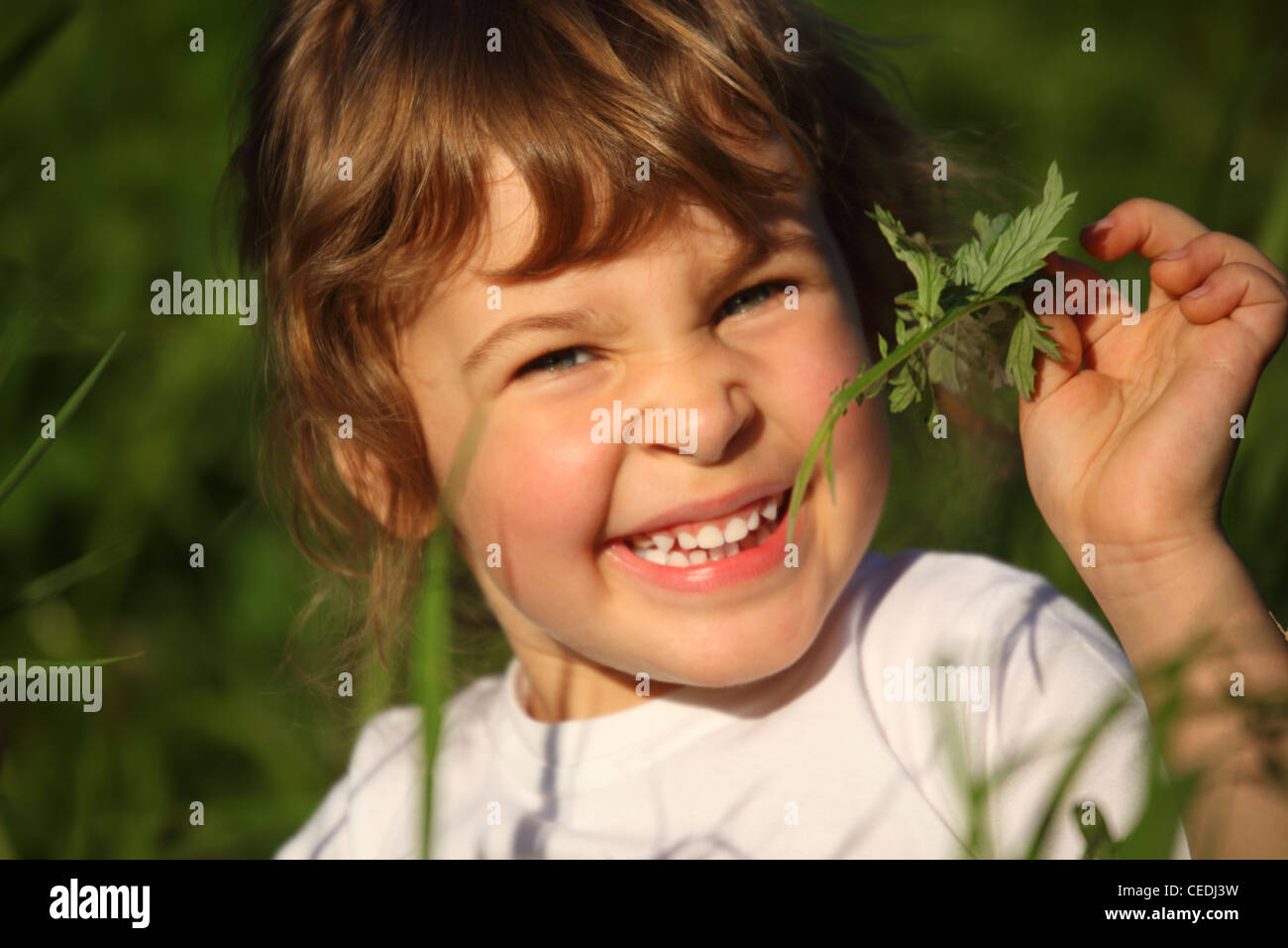 Portrait of little girl with grass-blade in hand Stock Photo - Alamy
