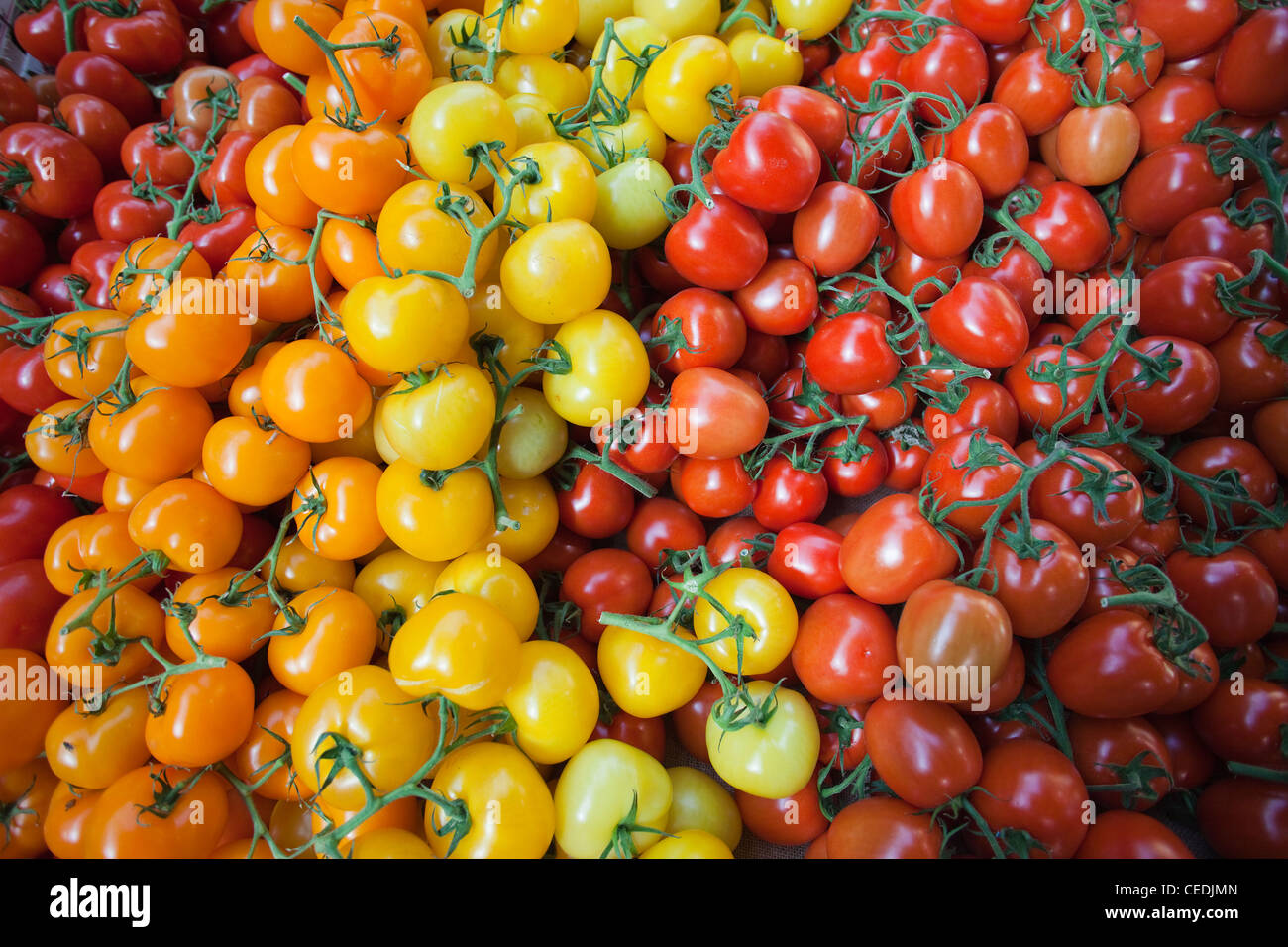 England, London, Southwark, Borough Market, Vegetable Stall, Tomato ...
