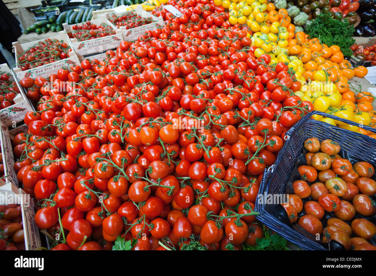 England, London, Southwark, Borough Market, Vegetable Stall, Tomato ...