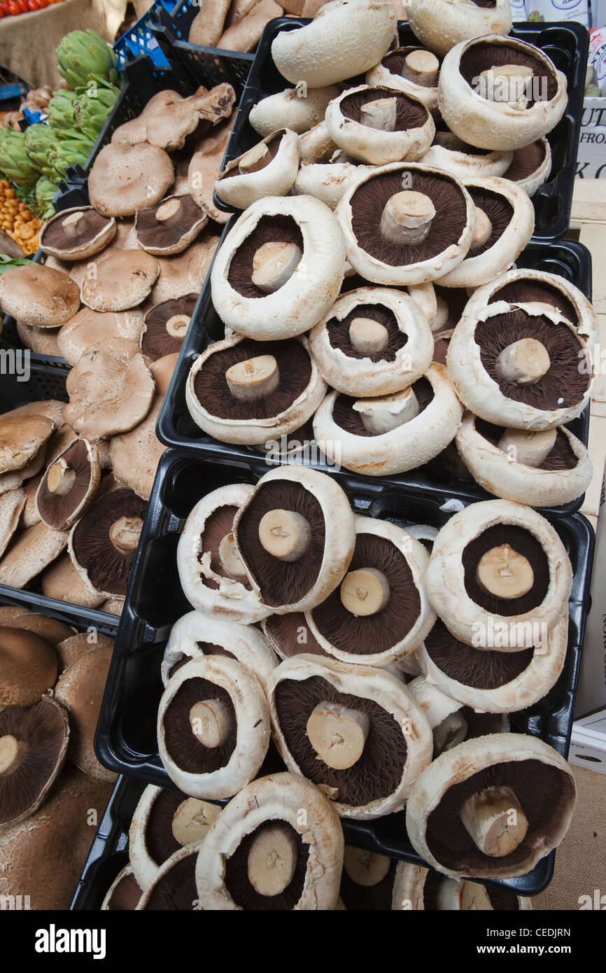Mushrooms display variety selection hi-res stock photography and images ...