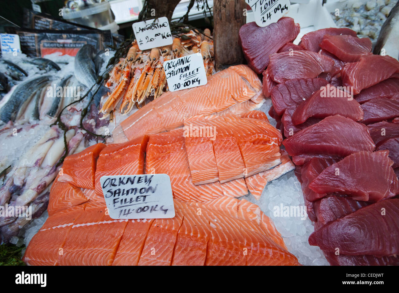 England, London, Southwark, Borough Market, Seafood Stall, Fish Display ...
